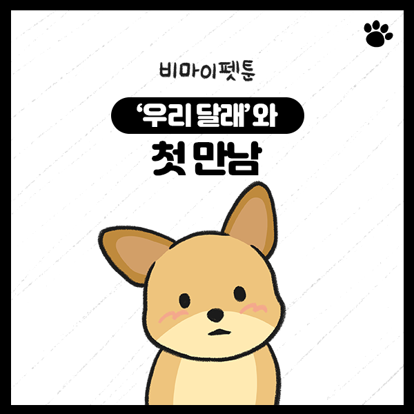 강아지 만화 우리 달래와의 첫 만남 비마이펫 크리에이터즈
