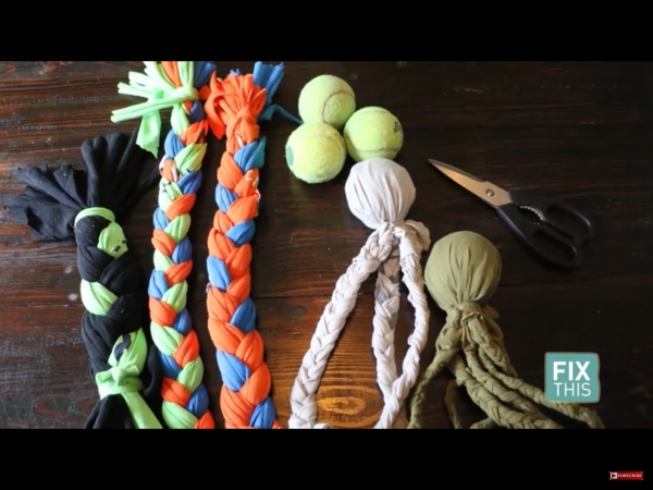 낡은 티셔츠로 만드는 반려견 터그 장난감 DIY - 비마이펫 크리에이터즈