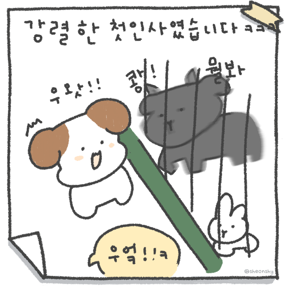 강아지와 염소가 만나면 생기는 일 비마이펫 크리에이터즈