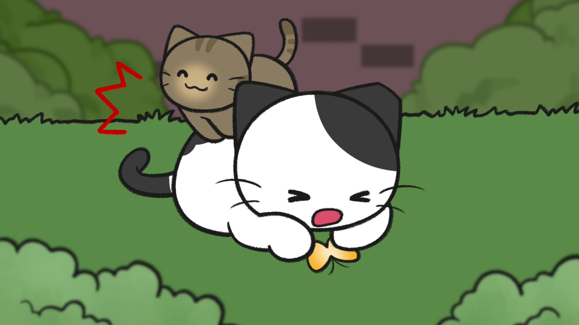 고양이 우다다, 도대체 왜 하는 걸까? - 비마이펫 크리에이터즈