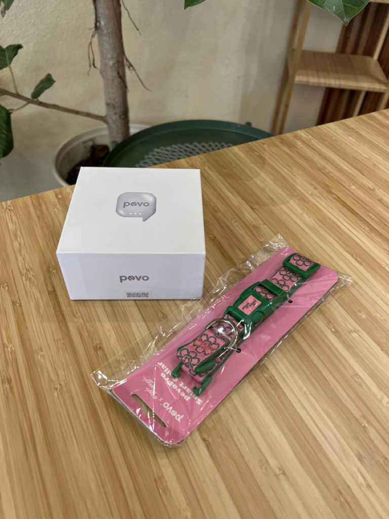 강아지 활동량 체크할 수 있는 똑똑한 강아지 스마트워치 페보(pevo watch) - 비마이펫 크리에이터즈