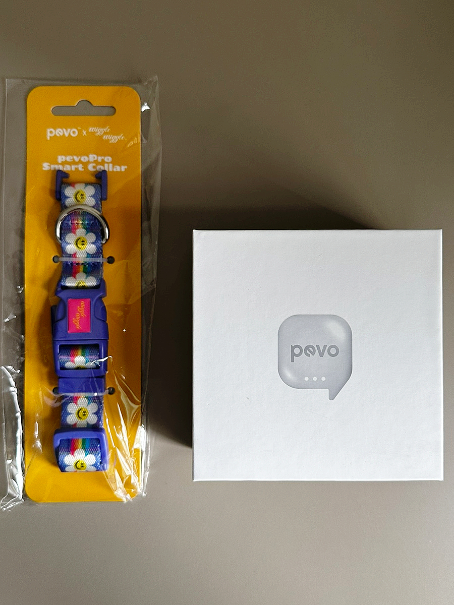 [페보(pevo)] AI 기반 맞춤형 서비스 댕박사 페보워치 강아지 스마트워치 아주 똑똑해 - 비마이펫 크리에이터즈